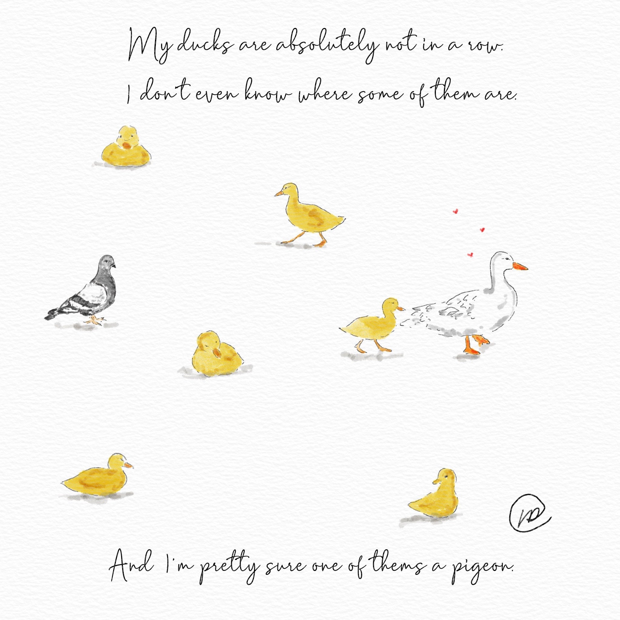 Ducks In a Row Print – Lucy Claire Illustration